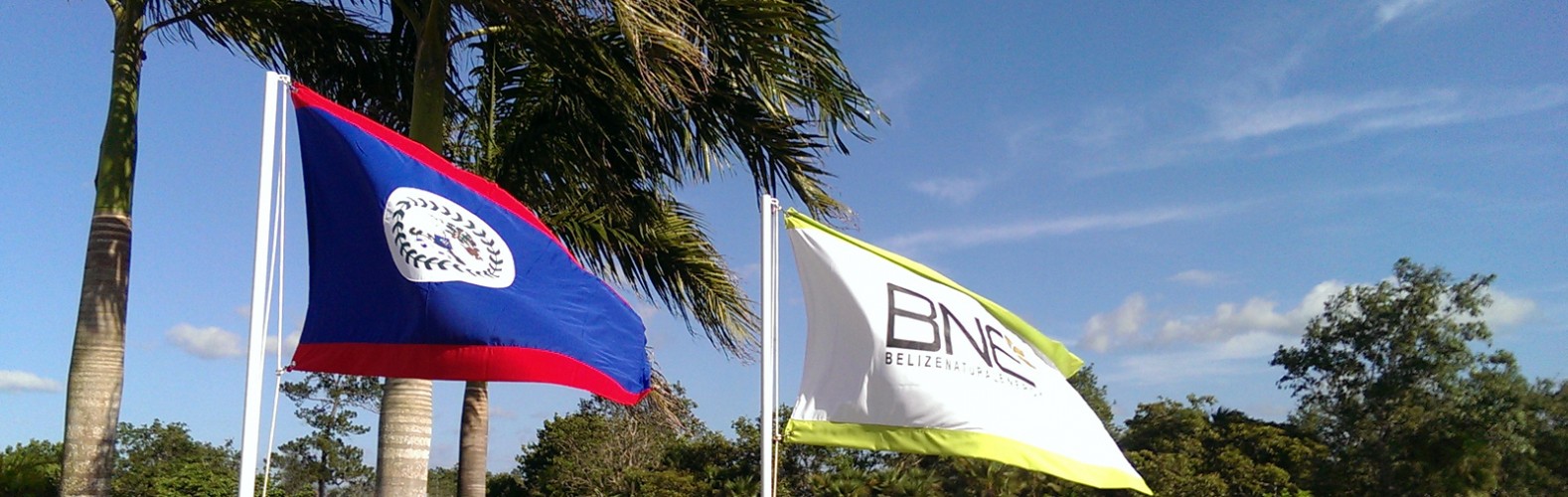 About Us | Belize Natural Energy